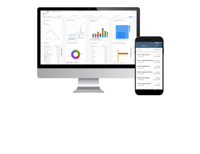 SAP Business One: l'ERP per le PMI | Easynet Group